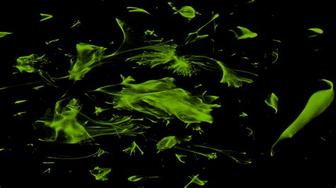 Driving Toward Billion Cell Analysis And Biological Breakthroughs With