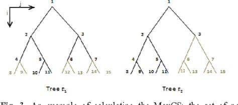 Figure 3 From Classification Of Ductal Tree Structures In Galactograms Semantic Scholar