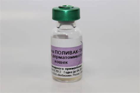 Поливак для кошек: инструкция и показания по применению | отзывы, цена