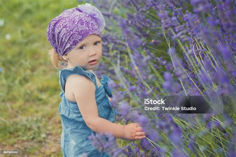 젊은 아름다움 자식 여자 Lavander 부시 입고 청바지 드레스와 신비주의 갈색 눈을 가진 보라색 자주색 두건 센트럴 파크에서 풀밭에서 포즈 8월에 대한 스톡 사진 및