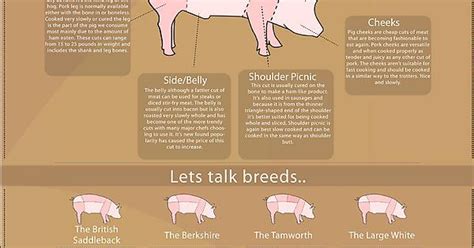 Food And Drink Infographic Overload Album On Imgur