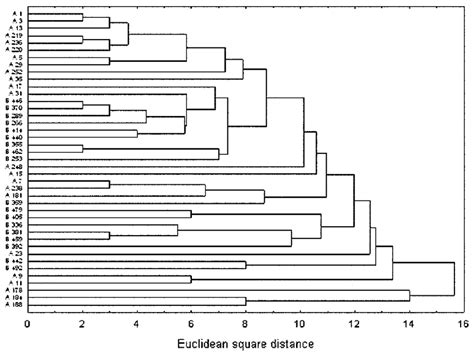Dendrogram Derived With Upgma Based On The Euclidean Distance Between