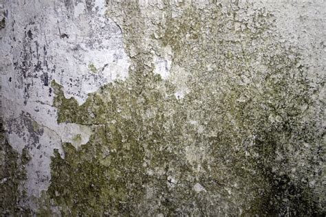 Free Photo Dirty Wall Texture Concrete Dirty Painted Free