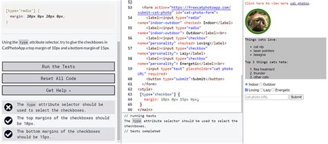 Theres A Bug With The Lesson Use Attribute Selectors To Style