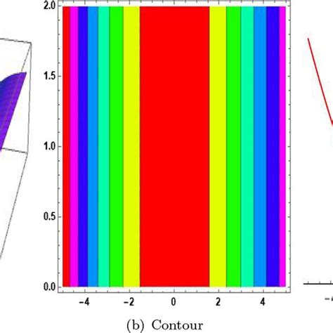 Graphical Behavior Of Singular Soliton Of Eq 20 Correspond To The