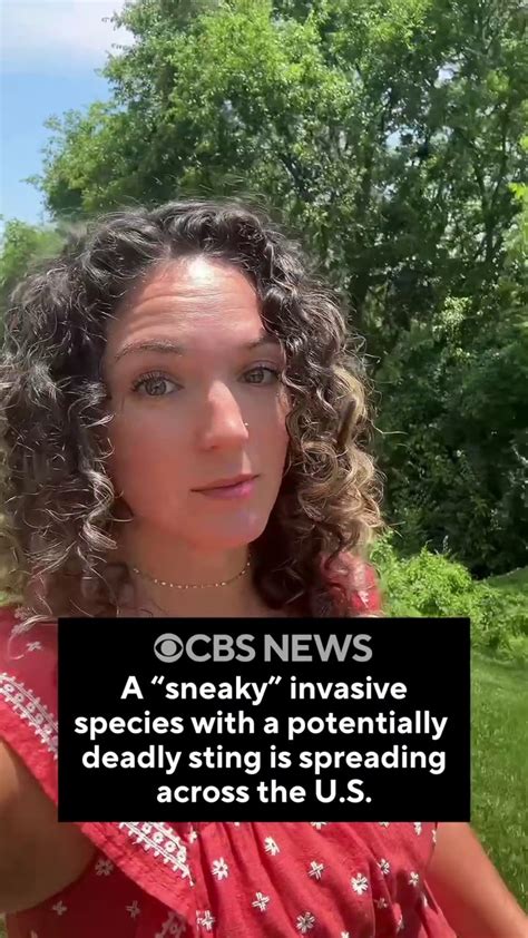 Stream Cbs Morning News Now Stream Todays Top Stories And Latest