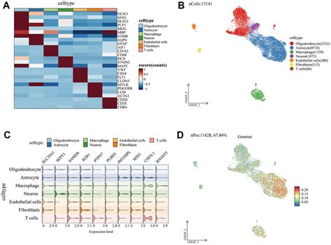 Identification Of M5c Regulator Medicated Methylation Modification Patterns For Prognosis And