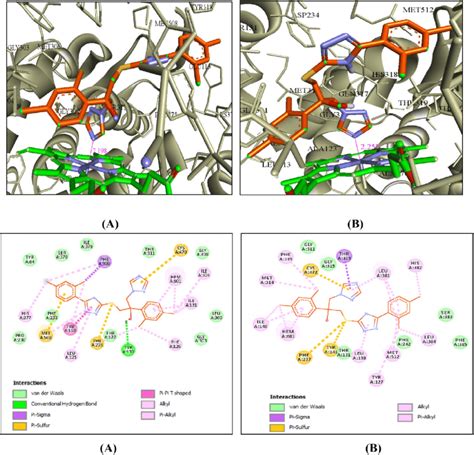 3d And 2d Binding Pose Of R N4 Attaf 2 A In Candida Albicans Cyp51