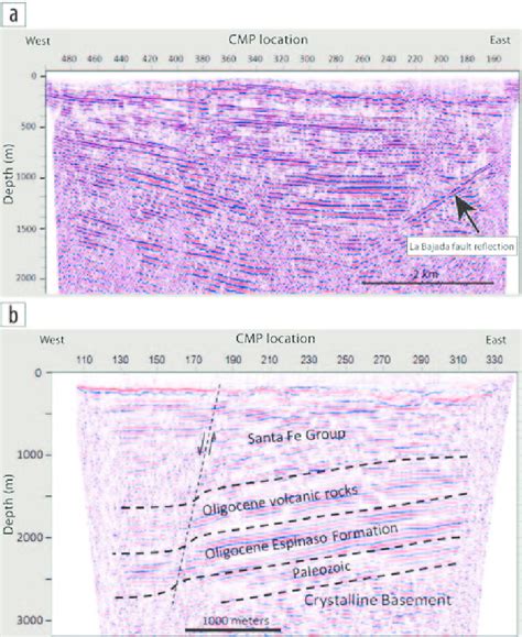 Common Midpoint Cmp Stacked Seismic Reflection Sections Seismograms Download Scientific