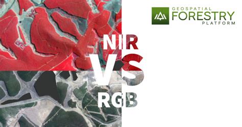 Ndvi Normalised Difference Vegetation Index Geospatial Forestry Platform