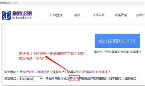 Paddleocr手写体中文识别中的乱码现象与解决方案 模型 字符 处理