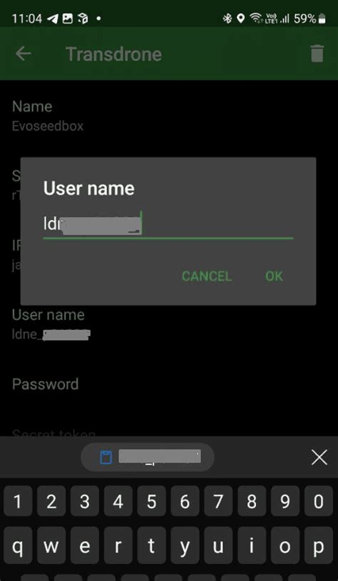 Ultimate Guide To Setting Up Transdrone On Seedbox