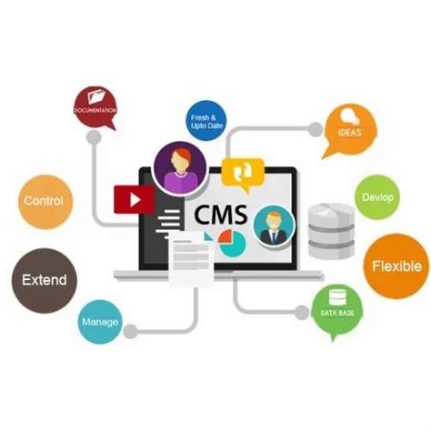 CMS Web Development At Month In Rajkot ID