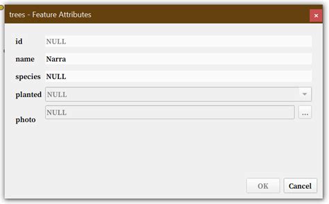 Photo Not Displaying In Attribute Form Features Were Collected With