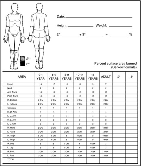 Lund Browder Classification Definition Of Lund Browder Classification
