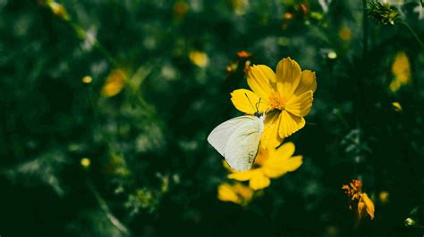 解锁科技论文写作技巧 茅茅虫论文写作