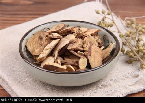 中药材乌药高清图片下载 红动中国