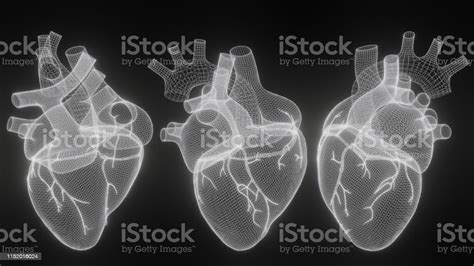 3d 와이어 프레임 하트 렌더링 고립 된 흰색 배경 추상 심장 아이콘 모양 라인 및 삼각형 파란색 배경 3d 렌더링에 네트워크를 연결 하는 포인트 3차원 형태에 대한 스톡