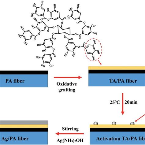Preparation Process Of Agpa Fibres Download Scientific Diagram