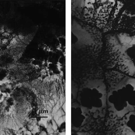 Typical Dendritic Morphologies Of Precipitates Of The Icosahedral Phase