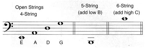 Bass Fundamentals