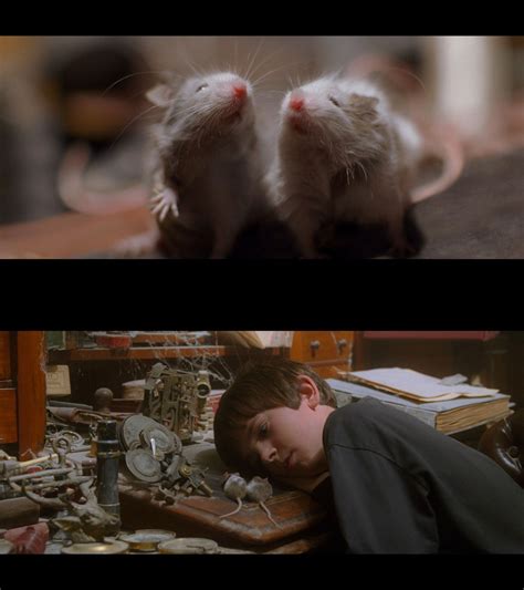 Spiderwick Chronicles Mice Wake Jared By Mdwyer5 On Deviantart