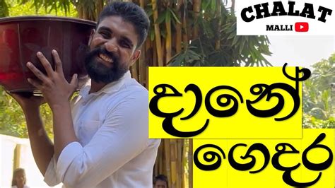 දානේගෙදර චාලට් මල්ලි ️😂🙏 Youtube