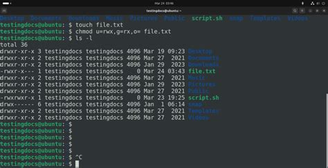 Linux Chmod Command Testingdocs