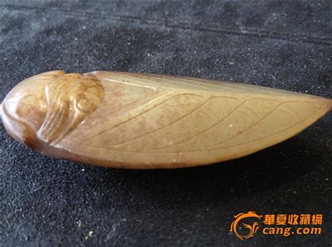 高古玉玉蝉图片 2百万的玉勒子周图片 最贵古玉蝉图片 第4页 大山谷图库