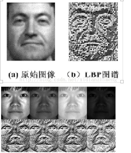 Lbp原理介绍以及算法实现 Csdn博客 Lbp原理介绍以及算法实现 Csdn博客