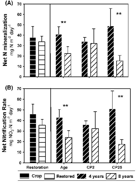 Mean ±standard Error Potential A Net N Mineralization Rates And B Download Scientific Diagram
