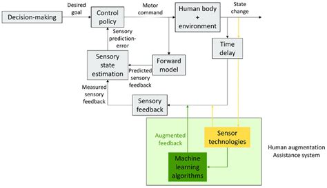 Human Motor Control Scheme Adapted From Shadmehr Et Al Extended Download Scientific