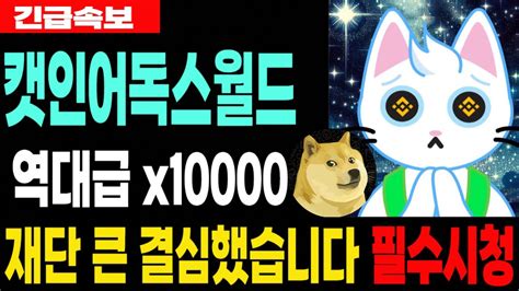 캣인어독스월드코인 Mew 긴급속보 역대급 X10000 재단 큰 결심했습니다 필수시청 코미녀tv Youtube
