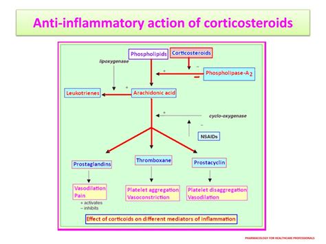 Ppt Topically Applied Corticosteroids Powerpoint Presentation Free Download Id 2246254