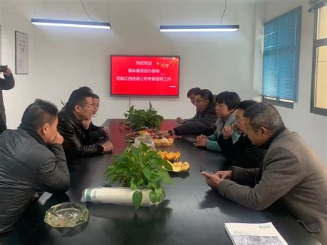 阳新枫林镇：上门招引雁归经济 产业集群搭建平台 湖北日报新闻客户端