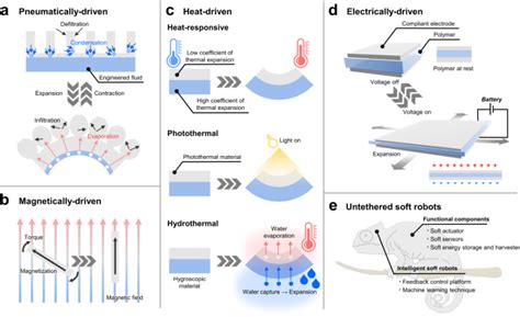 Untethered Soft Actuators For Soft Standalone Robotics Europeantech