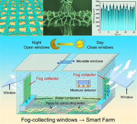 Multi Bioinspired And Multistructural Integrated Patterned Nanofibrous Surface For Spontaneous
