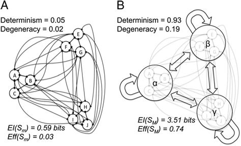 Spatiotemporal Causal Emergence A A Neuronal System Merging The Download Scientific
