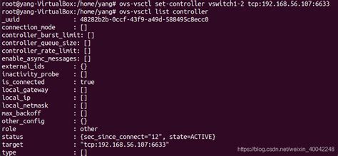 Open Vswitch 流表控制主机数据转发实验（二）ryu匹配任意tcp目的端口号 Csdn博客