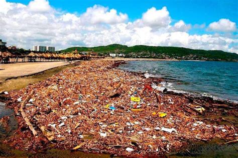 Una ‘isla De Basura Amenaza Las Playas De Puerto Colombia