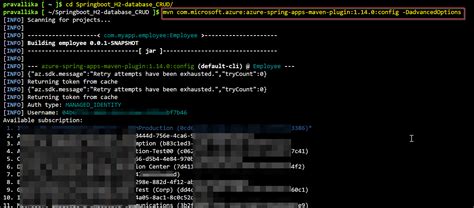 Azure Spring Apps Deployment Does Not Support The Api Version 2022 09 01 Preview Stack Overflow