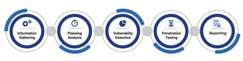 Conduct Manual Penetration Testing And Vulnerability Assessment By Adenbilal Fiverr