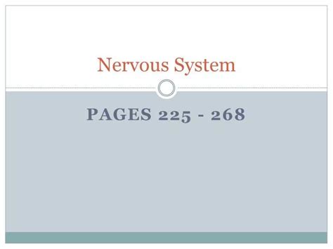 PPT Nervous System PowerPoint Presentation Free Download ID
