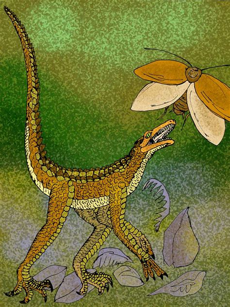 Prehistoric Crocodile Evolution