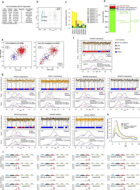 Eight B All Samples With Signatures Of Uv Exposure A List Of Samples Download Scientific