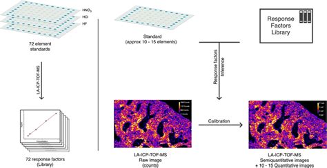 semiquantitative analysis for high speed mapping applications of biological samples using la icp