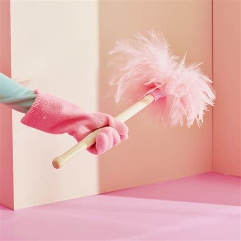 Free Feather Duster Presented Image Feather Duster Pink Download