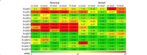 The Expression Levels FPKM Of PsARF Genes In Developing SAM And SAK
