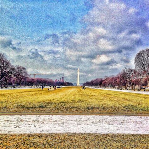 99000 Springfield Background Pictures