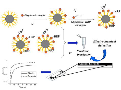 Scheme 1 Scheme Of The Electrochemical Immunoassay Coupled With Download Scientific Diagram